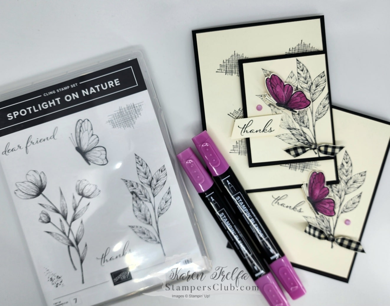 Makin' it Monday: Simple Stamping with the Spotlight on Nature Stamps ...